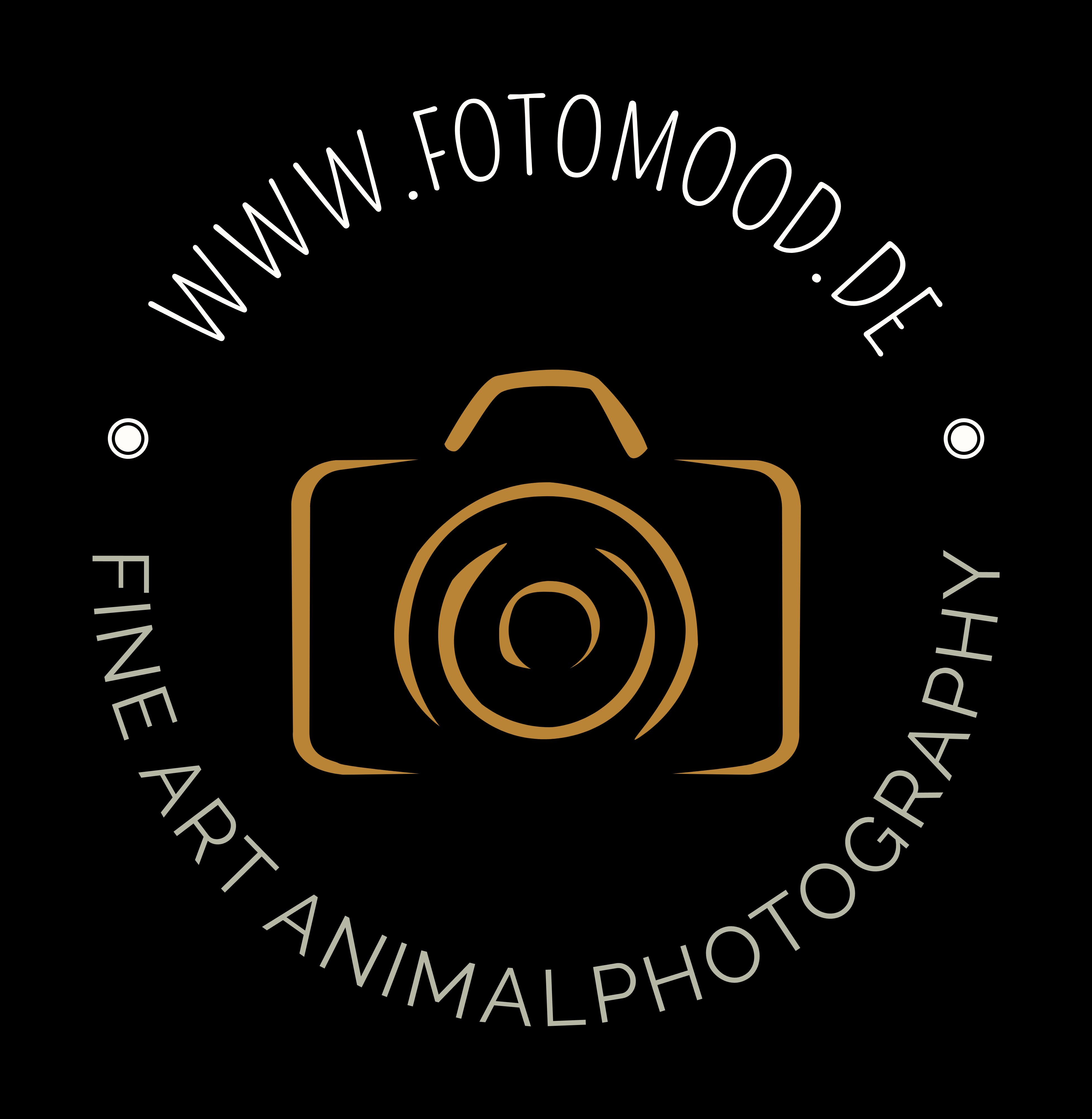 Tierfotografie in Hamburg und Schleswig-Holstein-Fine Art Animal ...